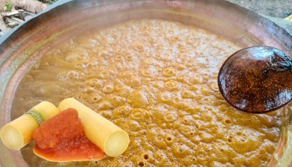 Different Types of Jaggery And Their Amazing Health Benefits